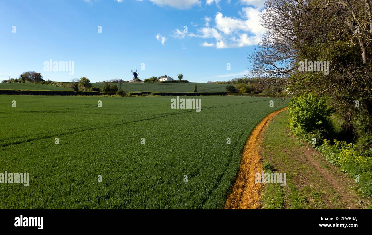 Low aerial view of Ripple Mill from the side of Coldblow Woods, Ripple ...