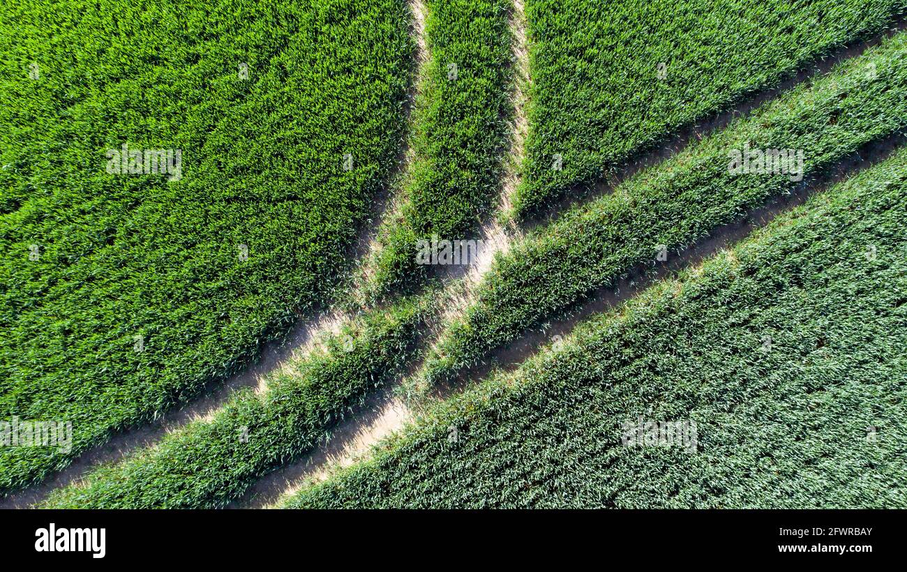 Crop marks aerial hi-res stock photography and images - Alamy