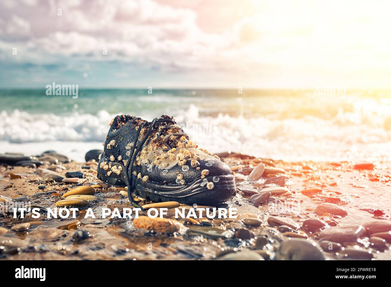 Concept of environmental protection and pollution. An old Shoe, covered ...