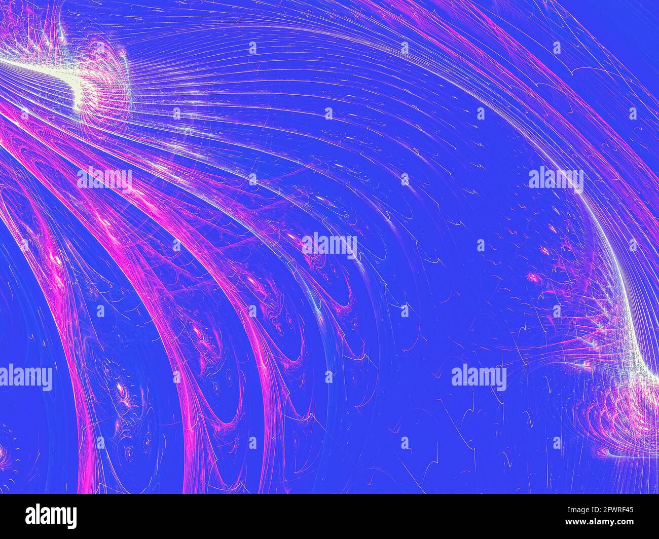 Science, design display with fractals, creative background plant leaves ...