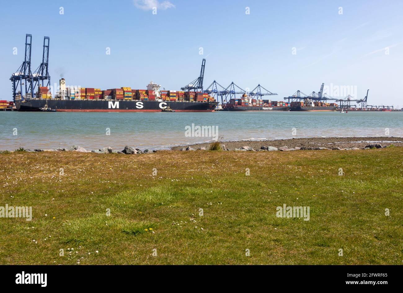MSC Regulus container ship Trinity Terminal, Port of Felixstowe ...