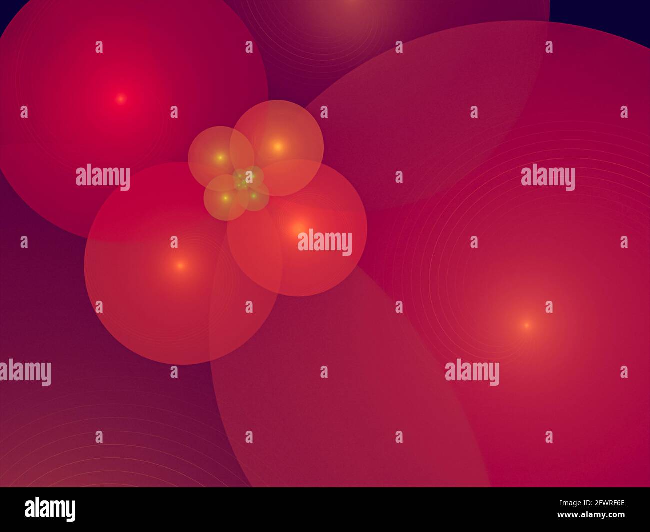 Bubbles, design display with fractals, creative background plant leaves ...