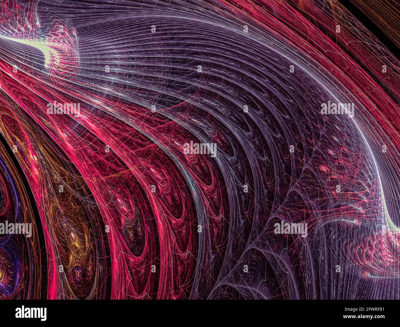 Science, design display with fractals, creative background plant leaves ...