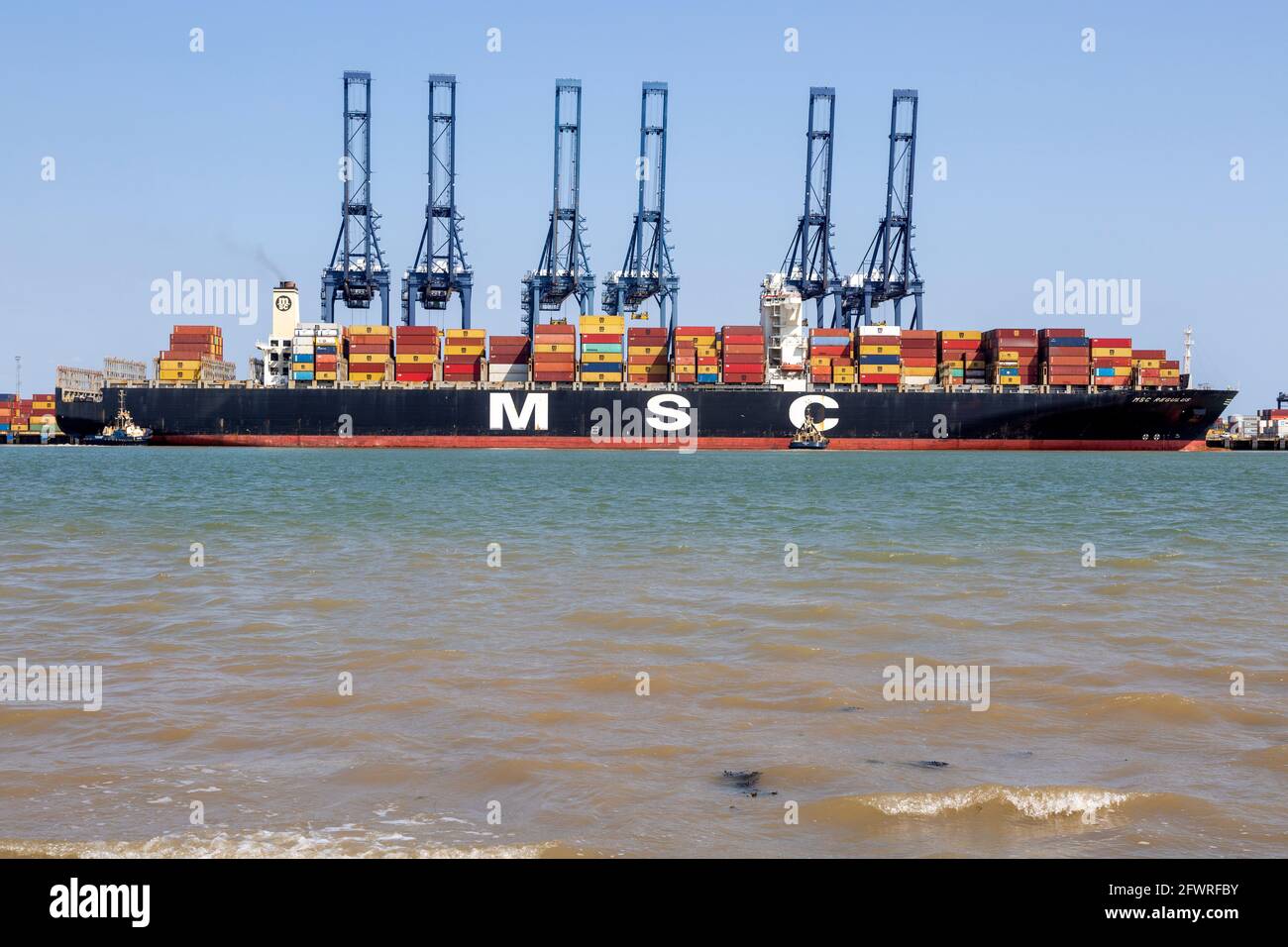 MSC Regulus container ship Trinity Terminal, Port of Felixstowe ...