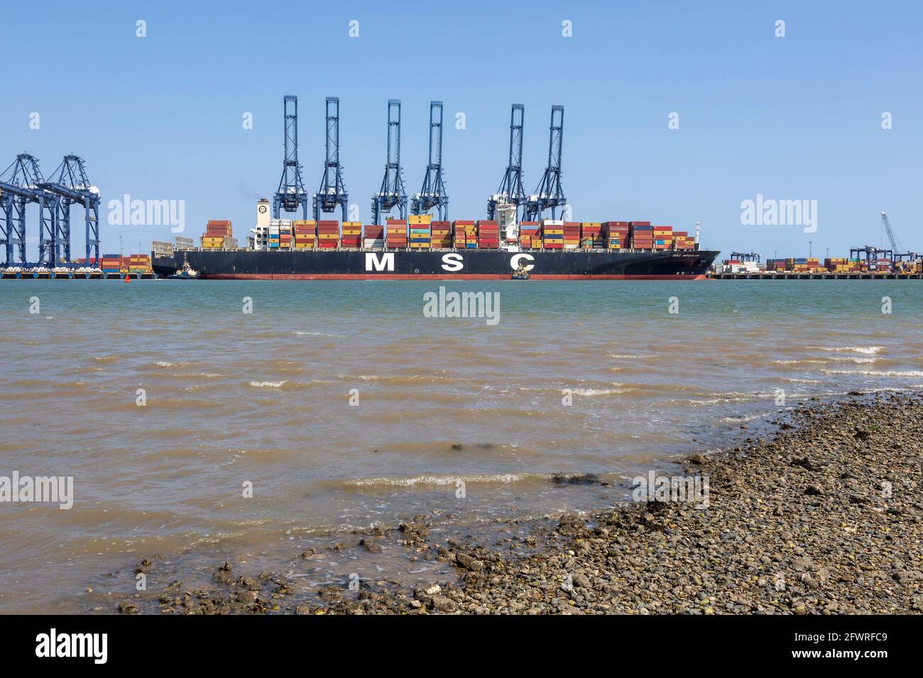MSC Regulus container ship Trinity Terminal, Port of Felixstowe ...
