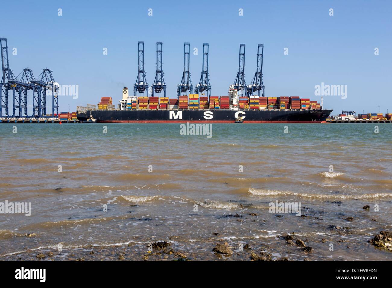 MSC Regulus container ship Trinity Terminal, Port of Felixstowe ...
