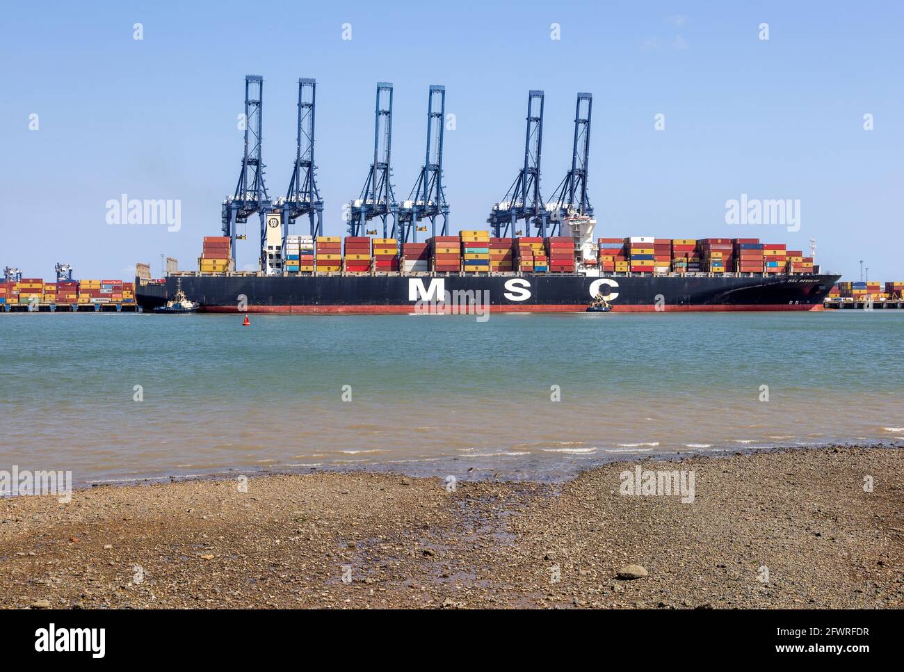 MSC Regulus container ship Trinity Terminal, Port of Felixstowe ...