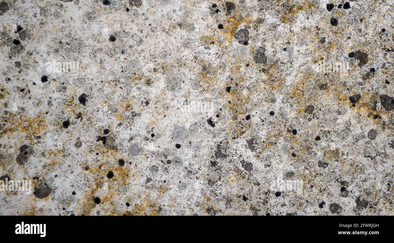 Stone structure of a stone slab, cut and processed from natural stone ...
