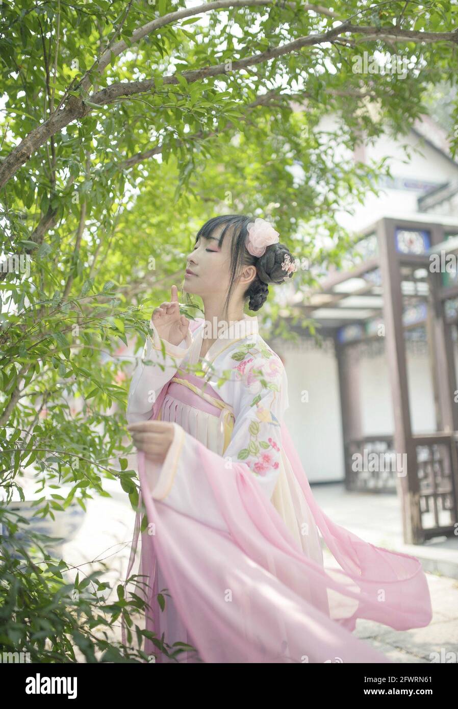 Ancient chinese style beauty hd background map Stock Photo - Alamy