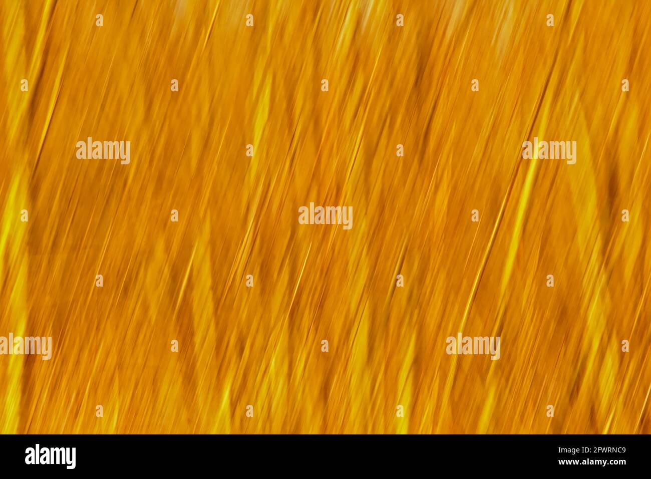 Soft motion blur background within shades of orange trees through ...