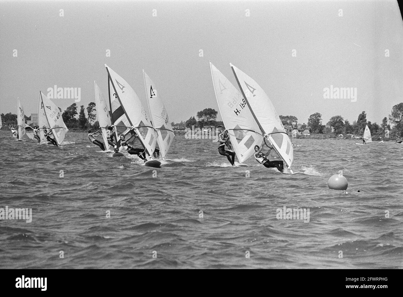 Dutch windsurfing championships in Hoorn; a bee of the race, July 5 ...