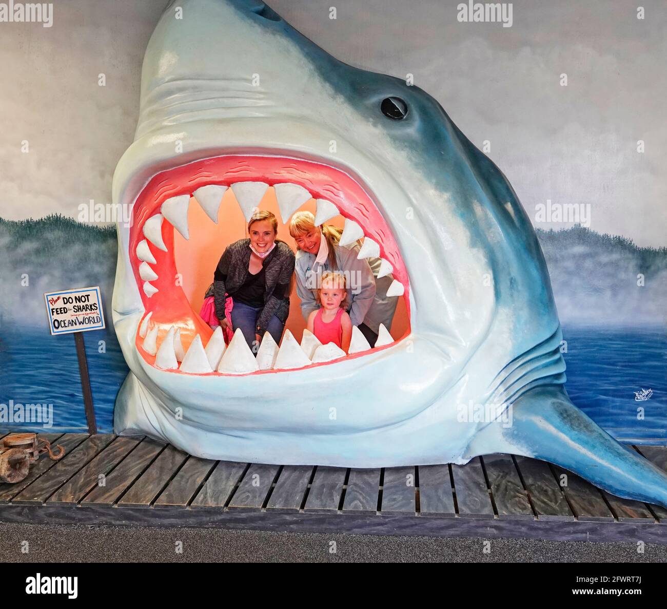 Sea World Great White Shark Ride