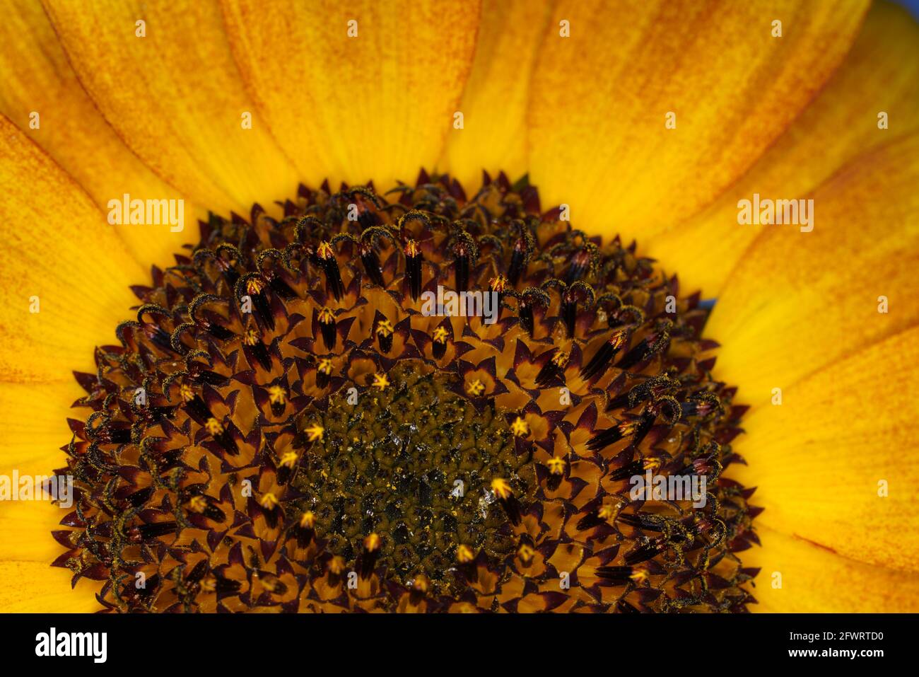 Background structure can also be used as a poster wallpapers ...