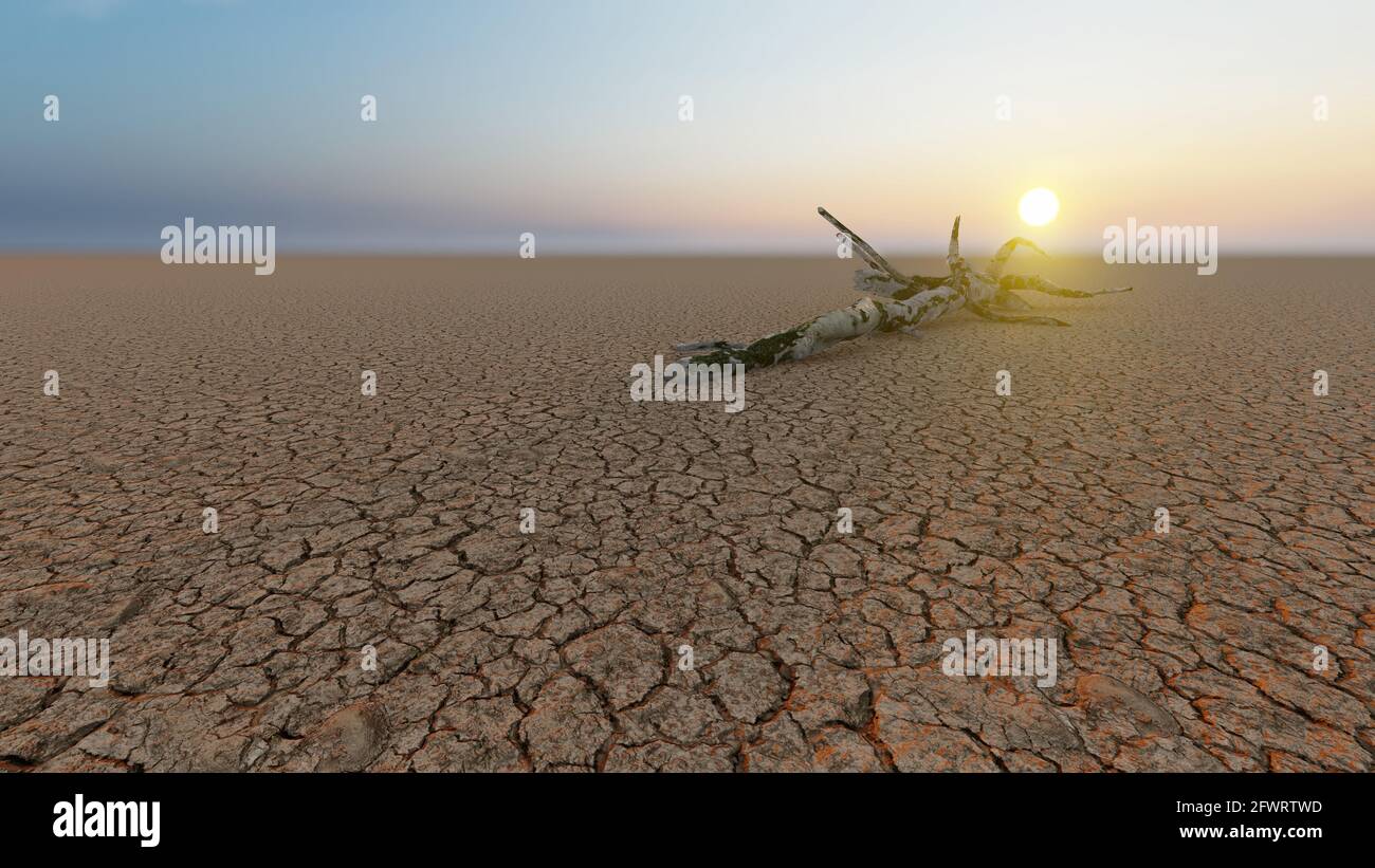 Concept or conceptual desert landscape with a parched tree trunck as a ...