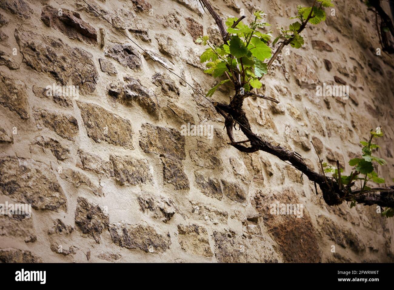 Rough hewn stone wall hi-res stock photography and images - Alamy