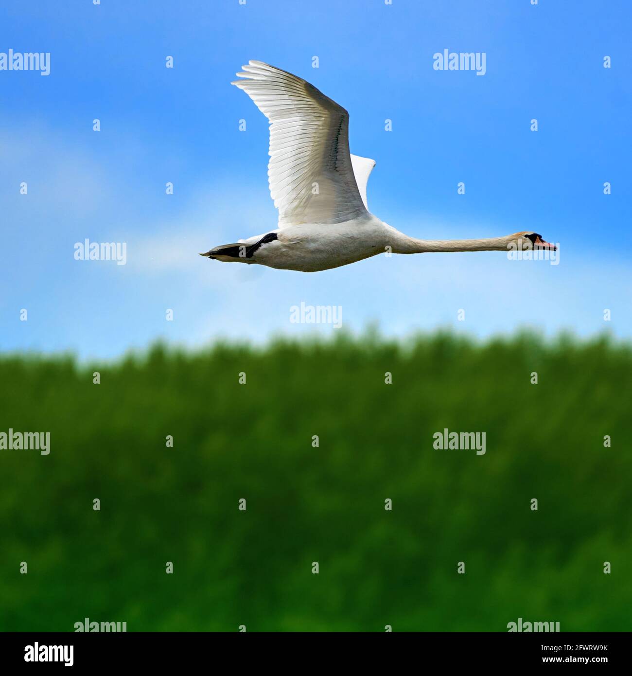 Aerodynamic shape hi-res stock photography and images - Alamy
