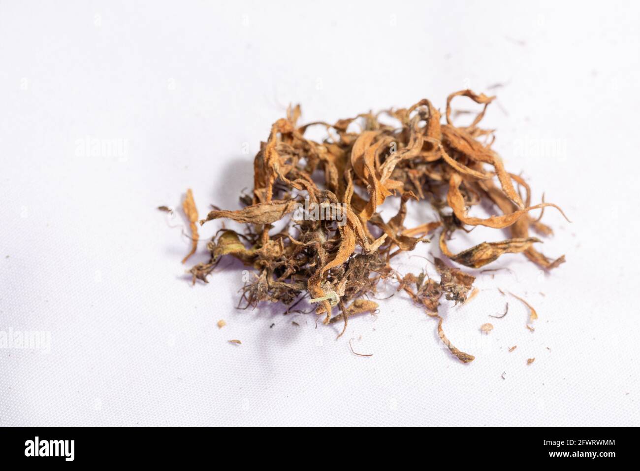 Dry marijuana flowers to extract CBD. Cannabis flowers and seeds ...