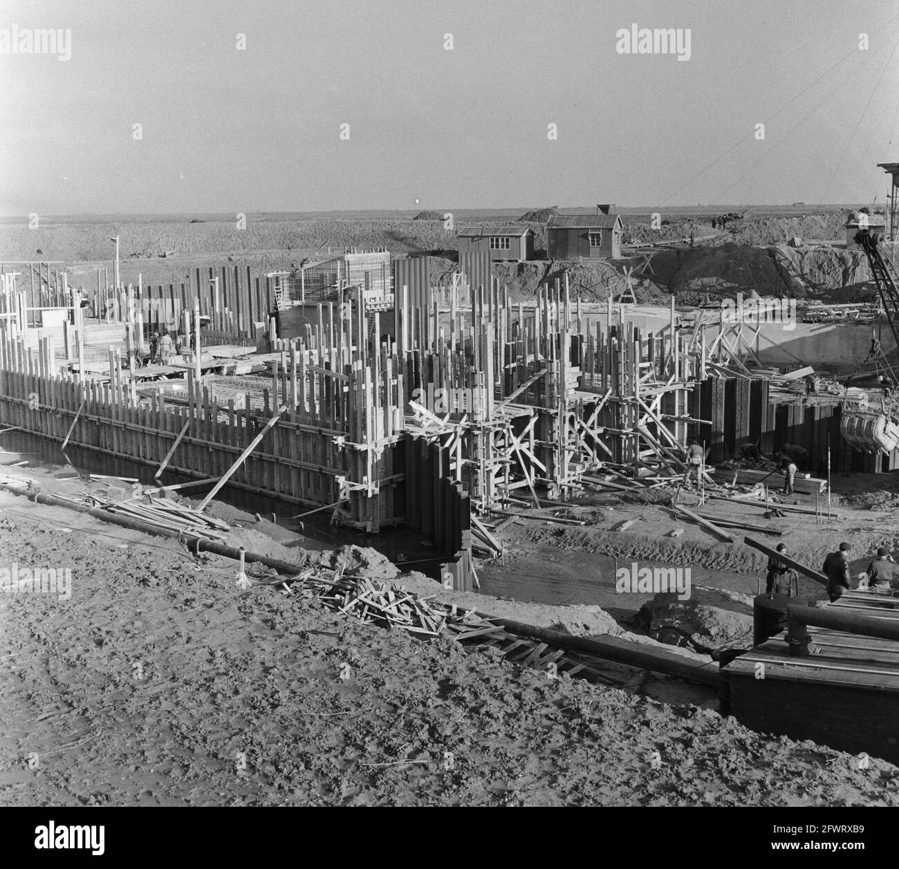 negatives, December 3, 1951, negatives, The Netherlands, 20th century ...