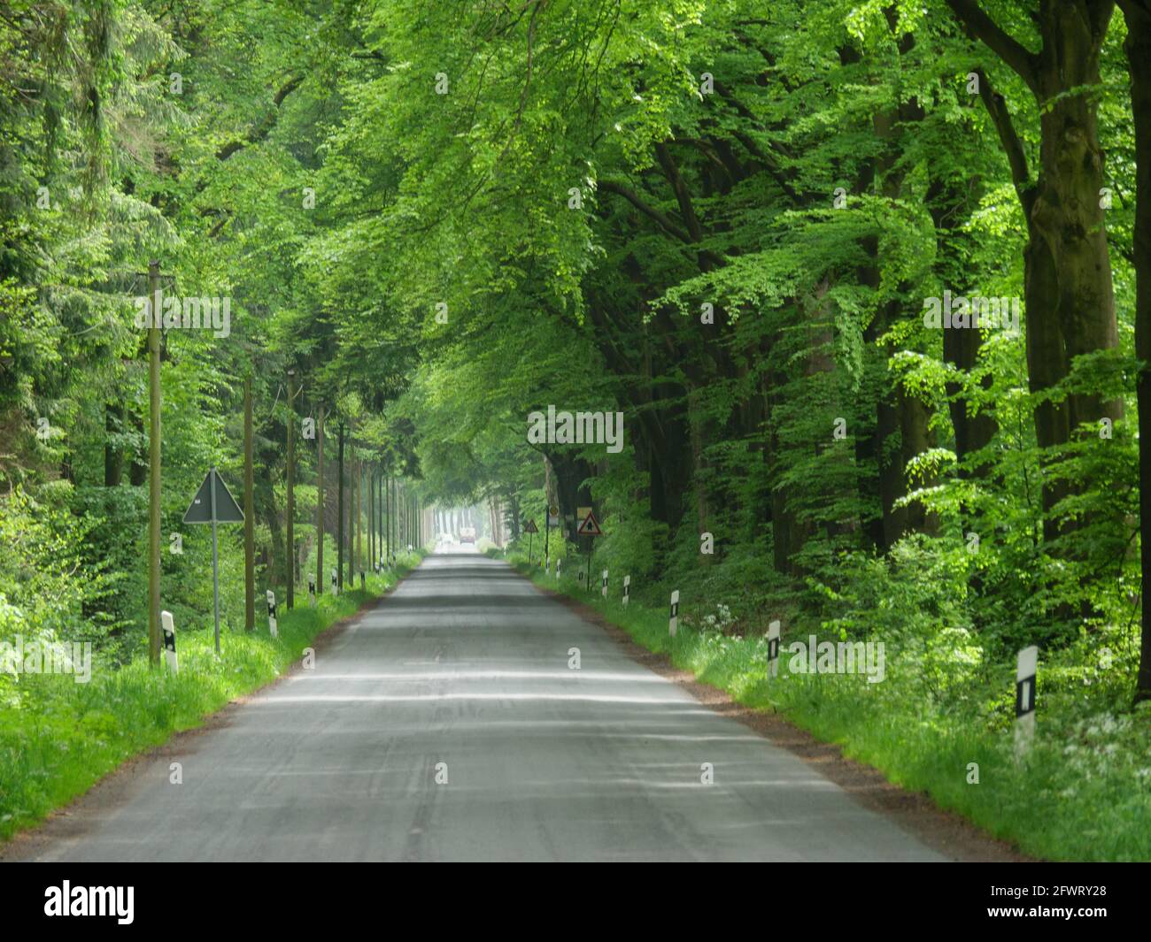 hiking in westphalia Stock Photo - Alamy