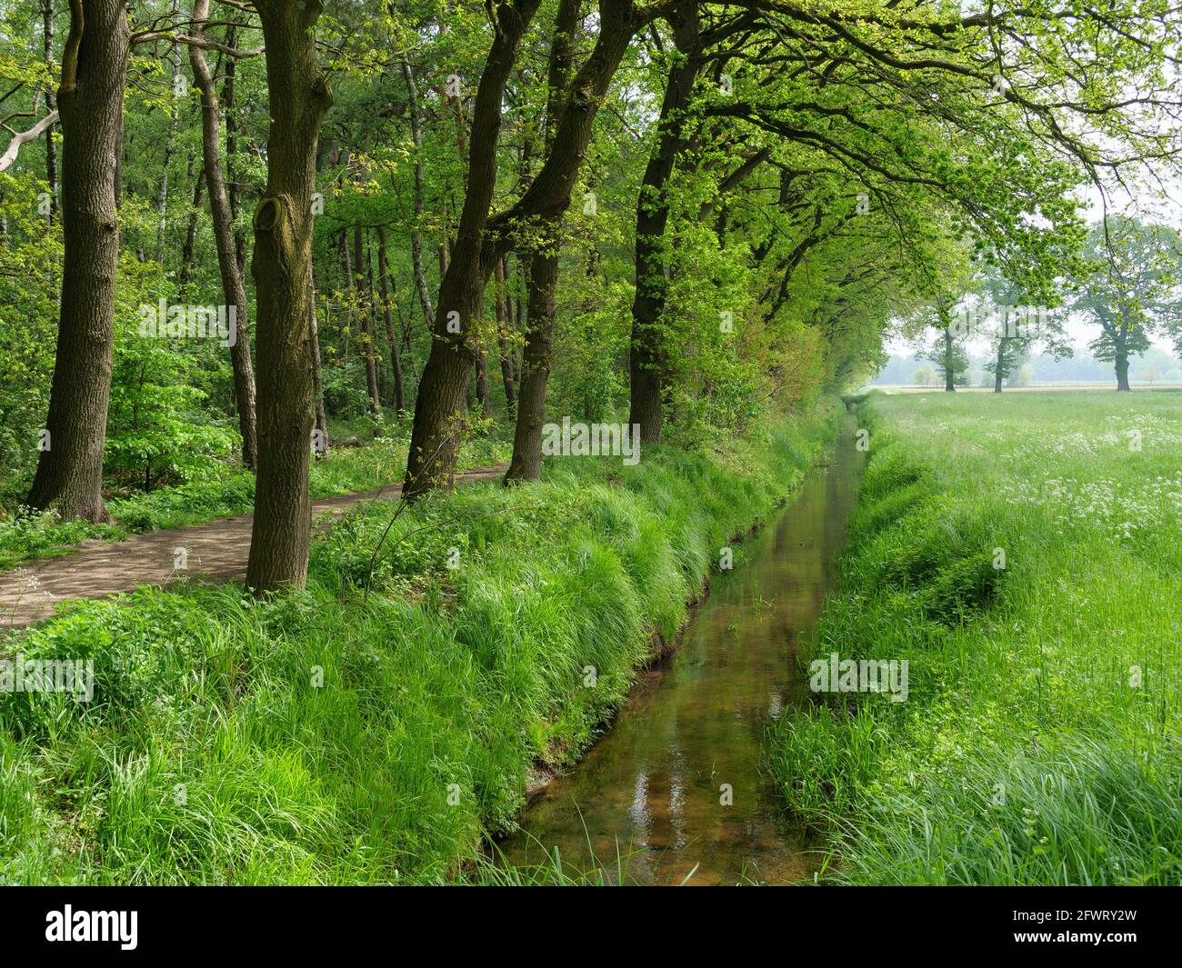 hiking in westphalia Stock Photo - Alamy