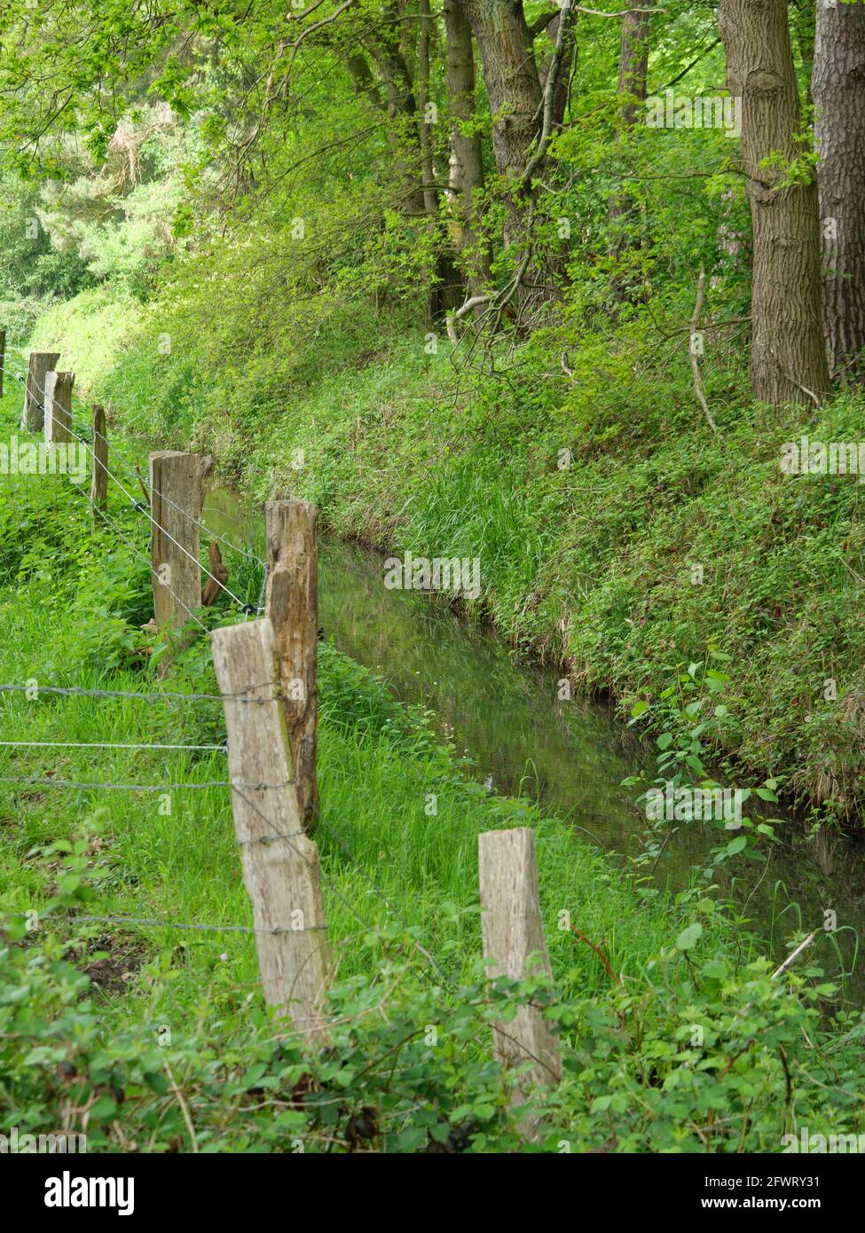 hiking in westphalia Stock Photo - Alamy