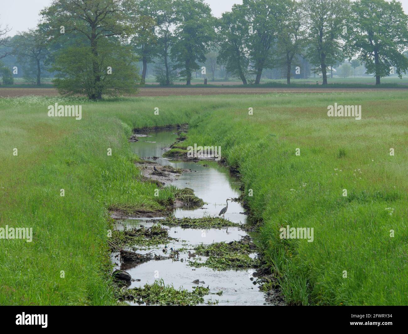 hiking in westphalia Stock Photo - Alamy