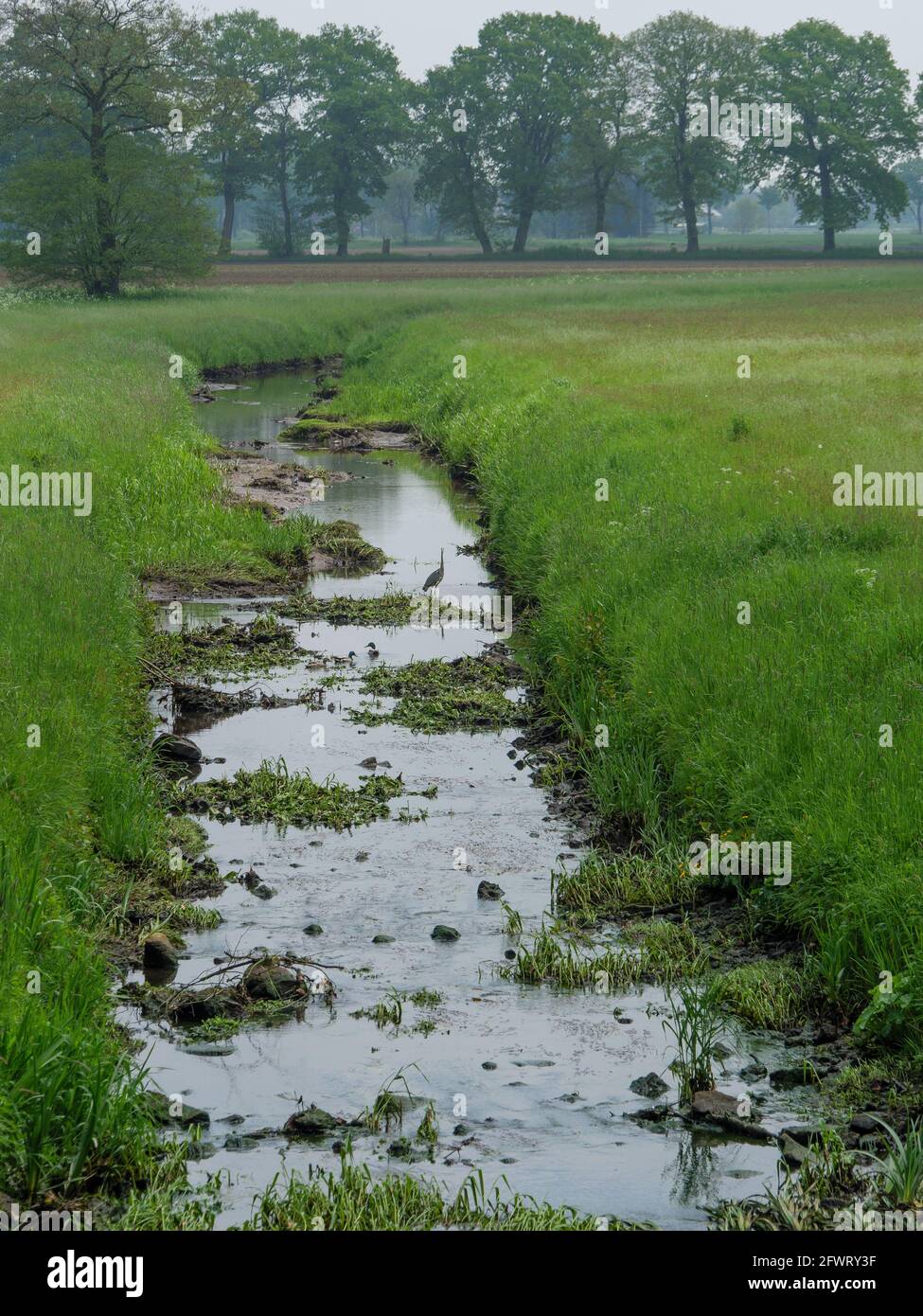 hiking in westphalia Stock Photo - Alamy