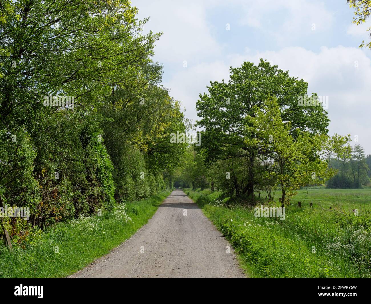 hiking in westphalia Stock Photo - Alamy