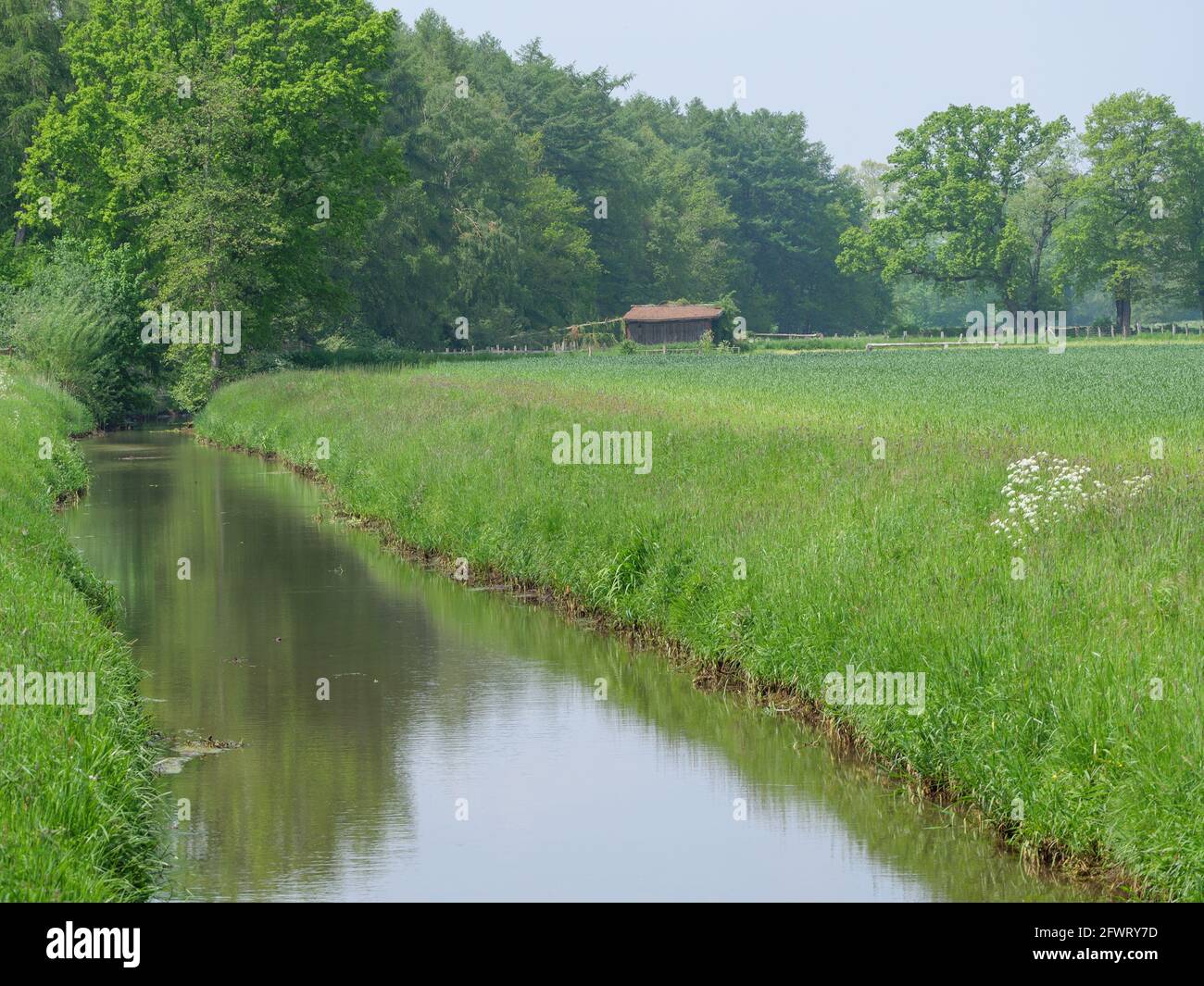 hiking in westphalia Stock Photo - Alamy
