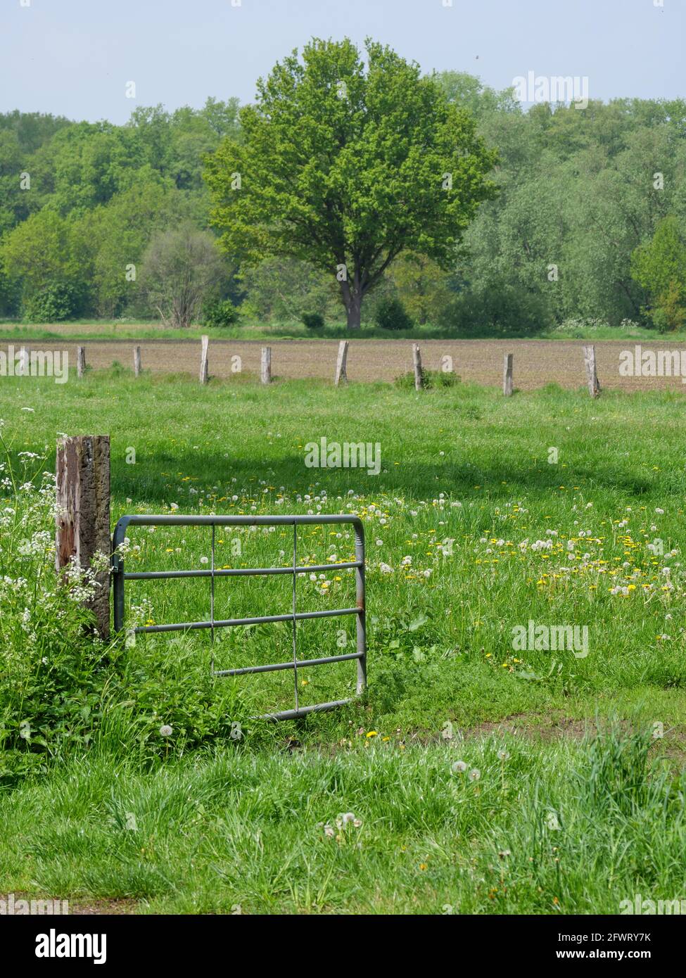 hiking in westphalia Stock Photo - Alamy