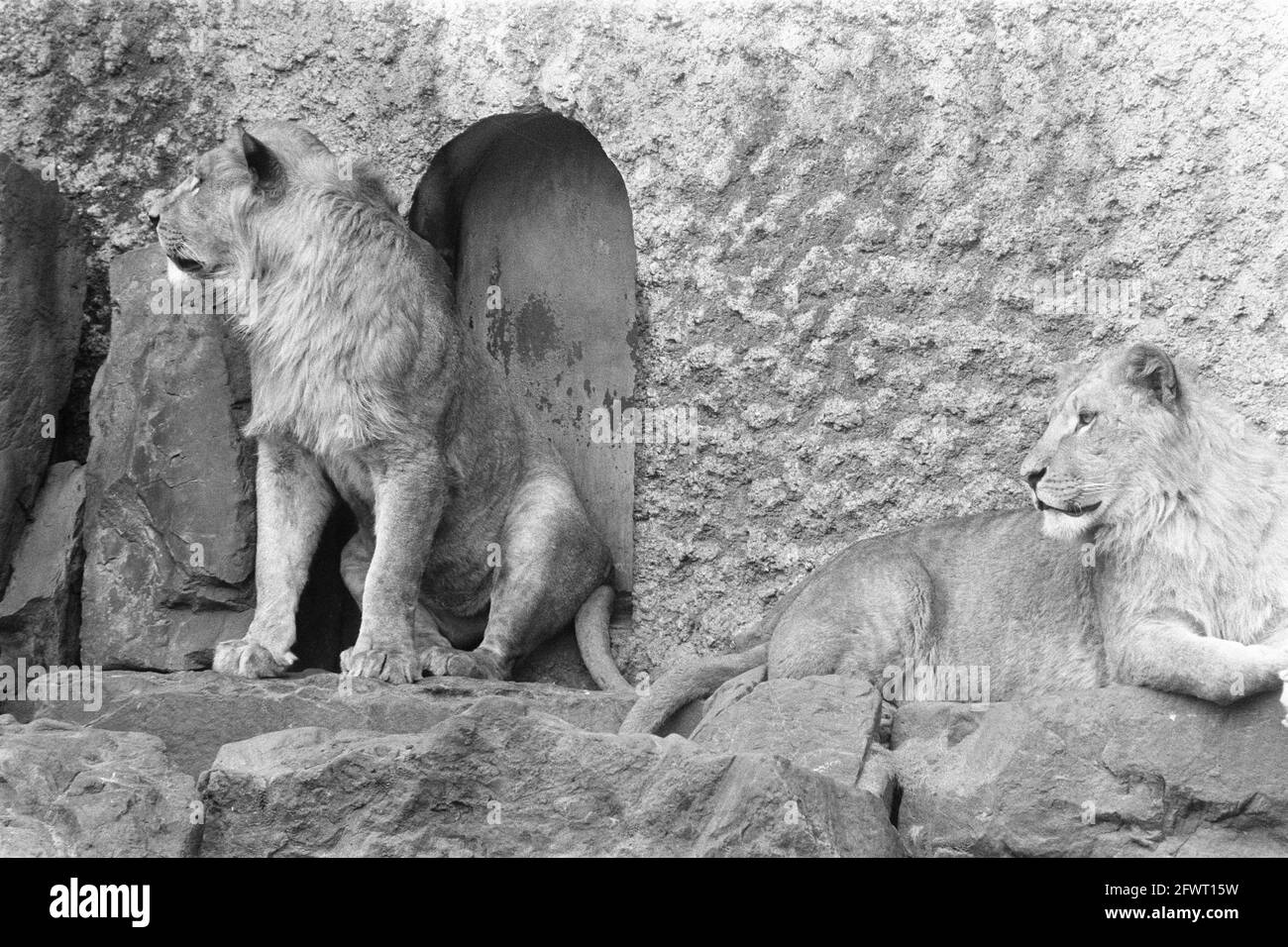 3 february 1990 Black and White Stock Photos & Images - Alamy