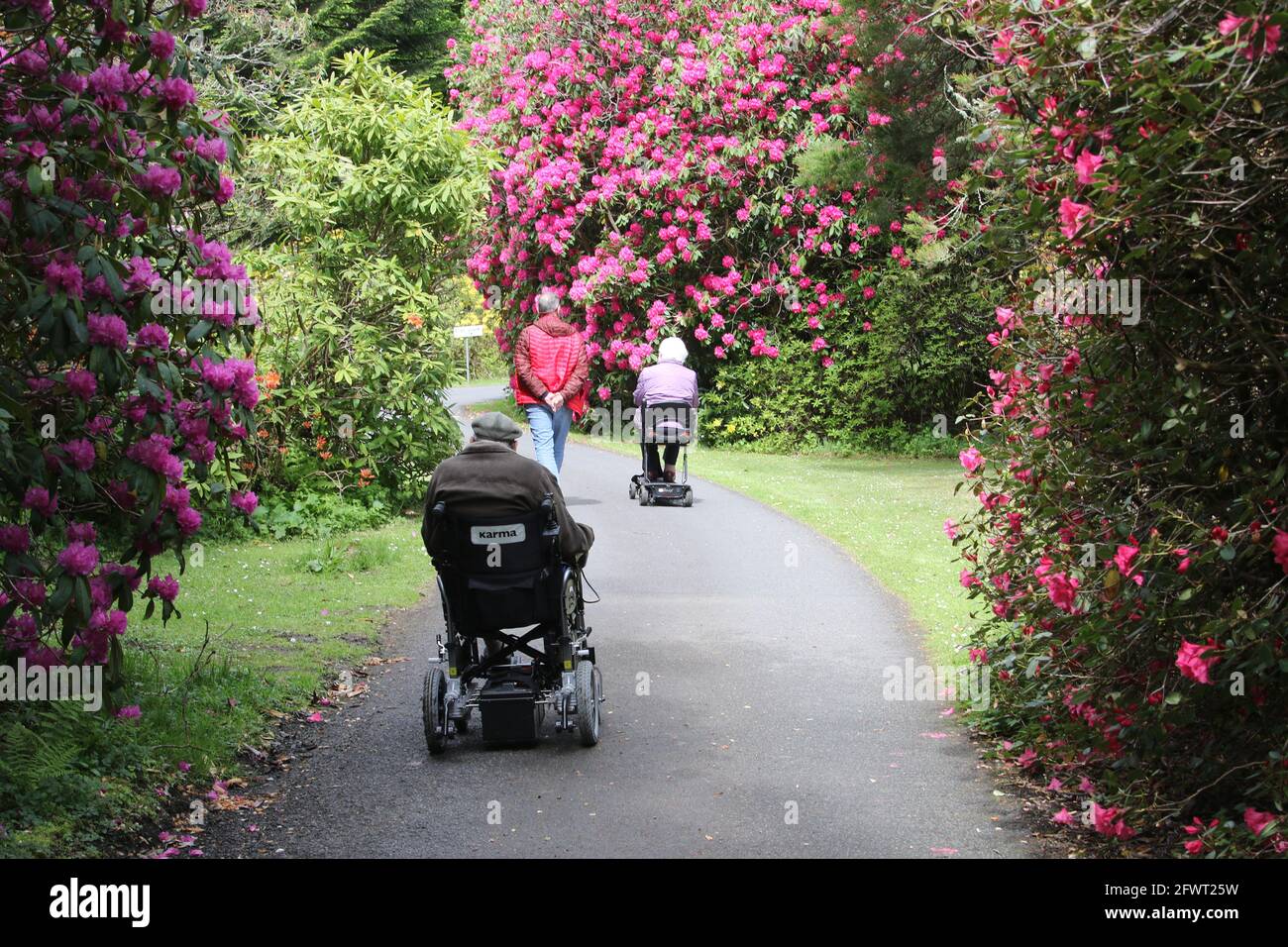 Bargany Gardens, Ayrshire, Scotland UK . Two disabled people on ...