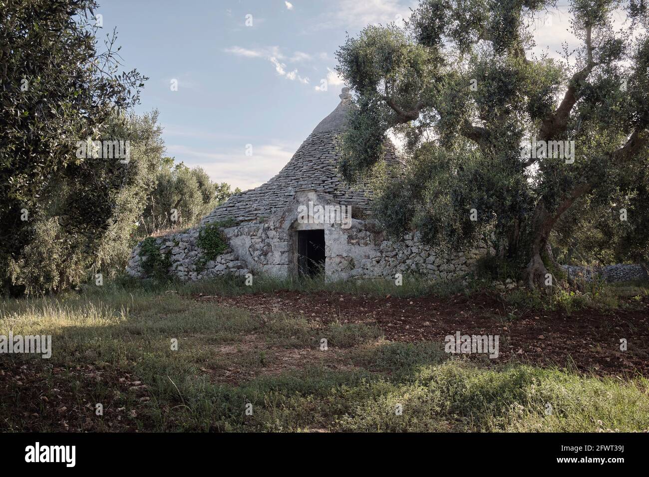 Trulli type of rural housing in Salento near Ceglie Messapica, Puglia ...