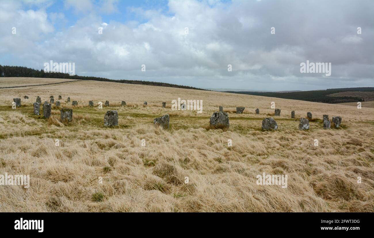 The Grey Wethers prehistoric Stone Circles on Dartmoor in Devon Stock ...