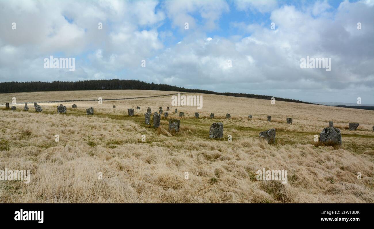 The Grey Wethers prehistoric Stone Circles on Dartmoor in Devon Stock ...