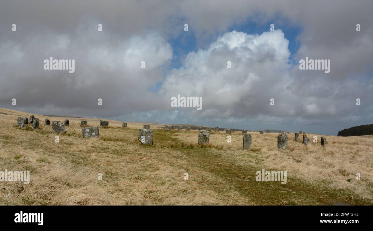 The Grey Wethers prehistoric Stone Circles on Dartmoor in Devon Stock ...