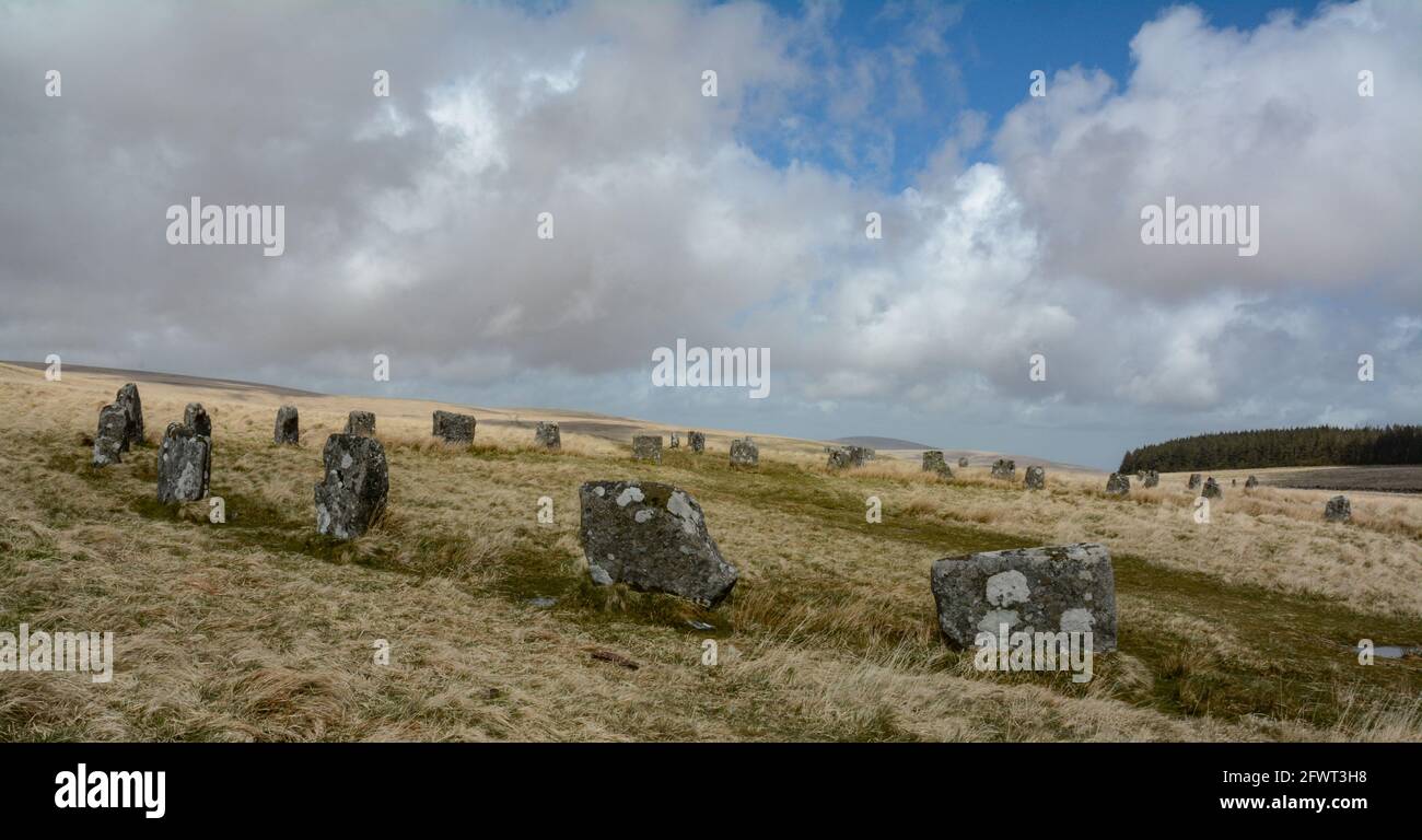 The Grey Wethers prehistoric Stone Circles on Dartmoor in Devon Stock ...