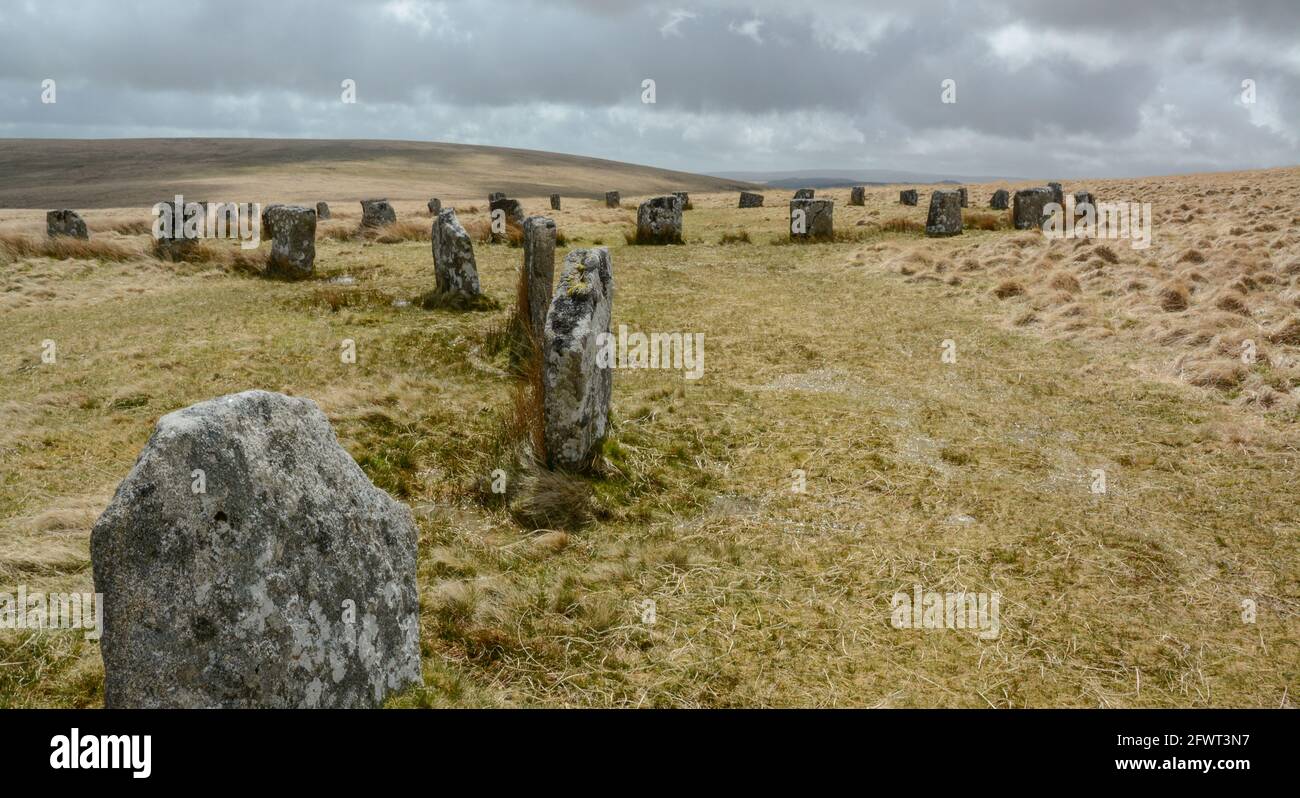 The Grey Wethers prehistoric Stone Circles on Dartmoor in Devon Stock ...