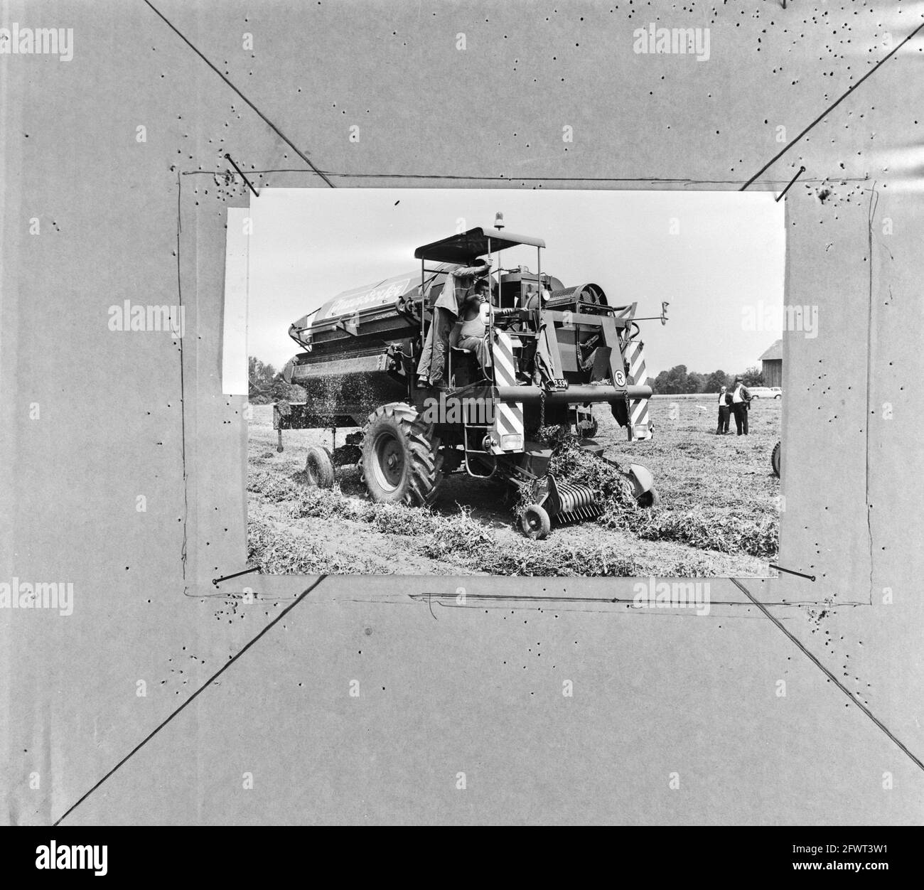Pea harvester hi-res stock photography and images - Alamy