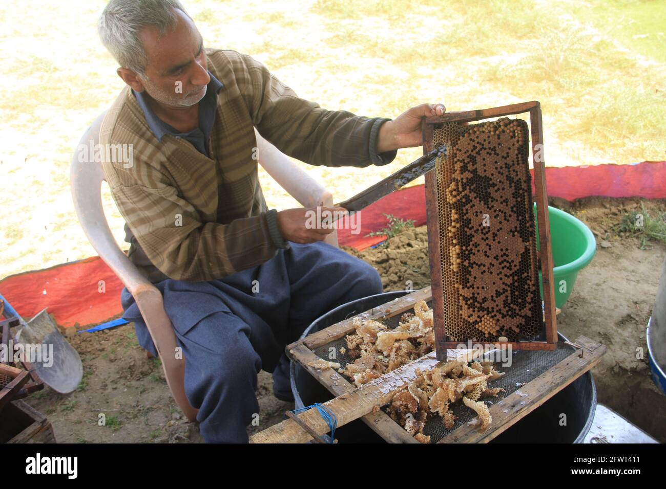 Bee farming india hi-res stock photography and images - Alamy