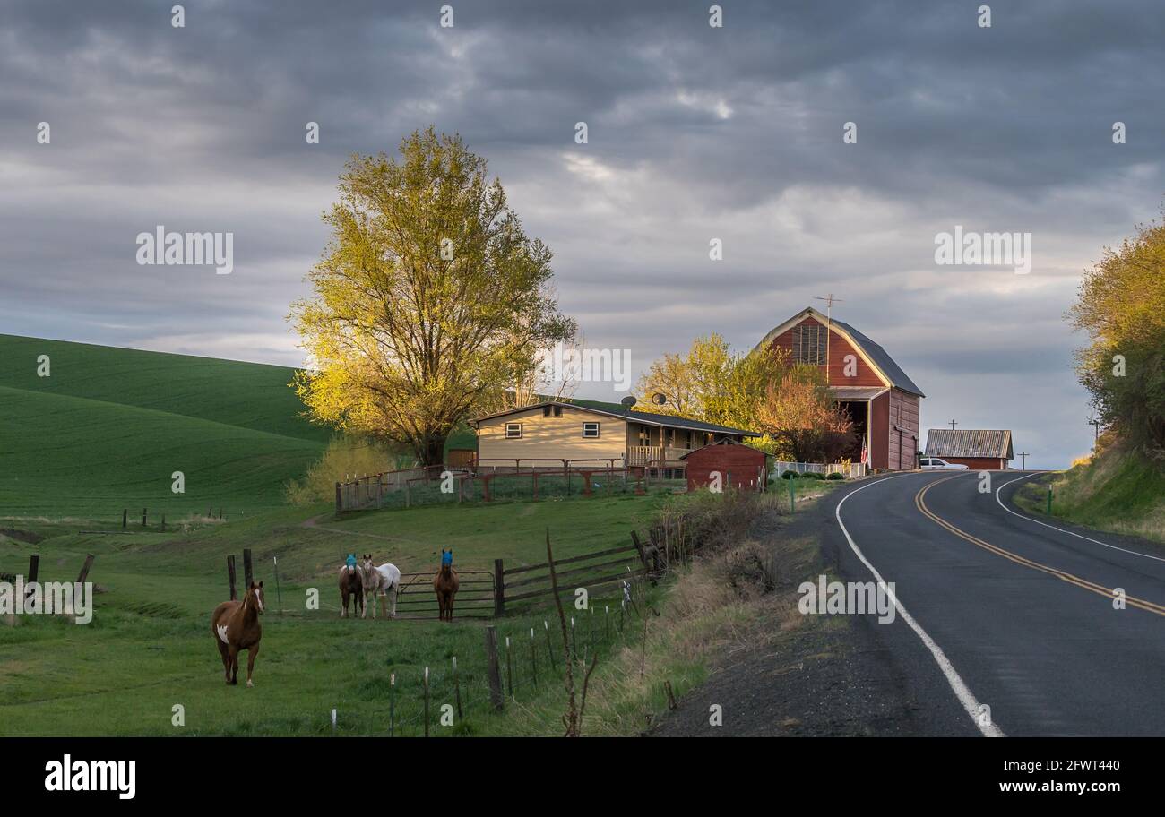 North america milk street summer hi-res stock photography and images ...