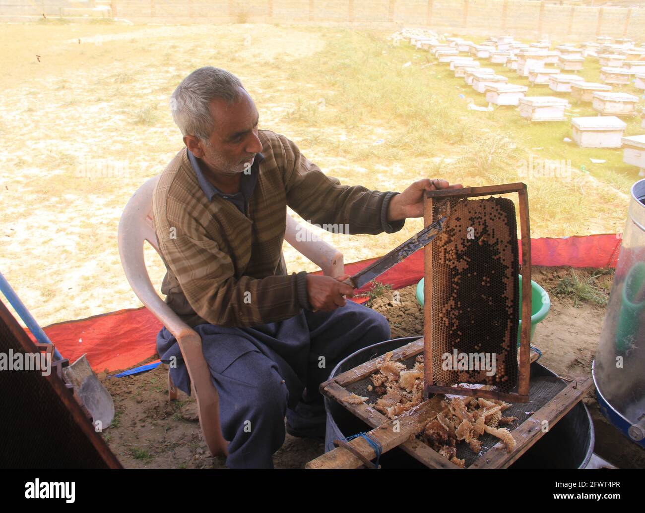 Bee farming india hi-res stock photography and images - Alamy