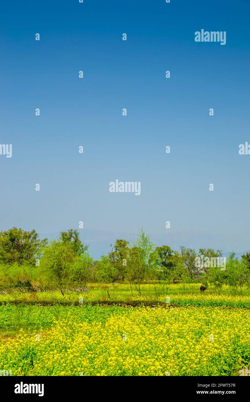 Spring scenery, Guilin, China Stock Photo - Alamy