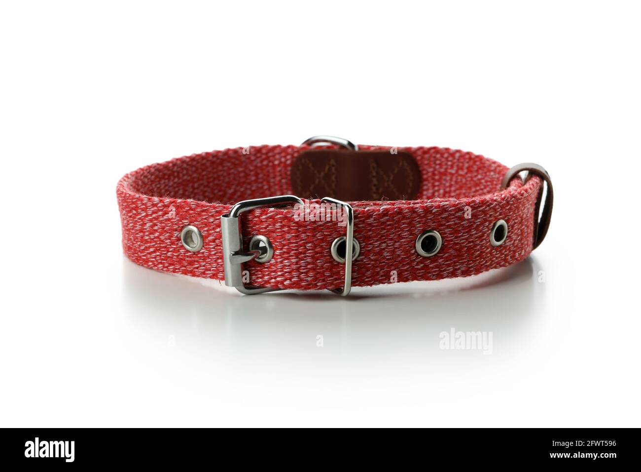 Red pet collar isolated on white background Stock Photo - Alamy