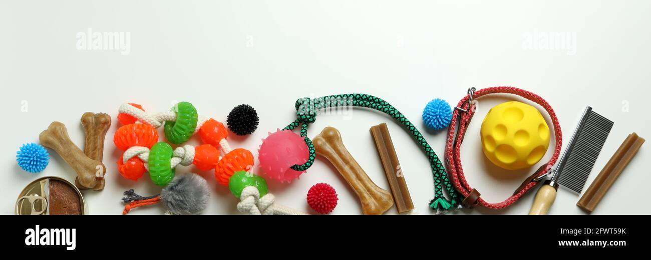 Pet accessories on white background, space for text Stock Photo - Alamy