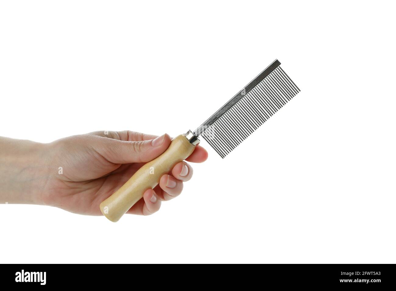 Female hand pet cat Cut Out Stock Images & Pictures - Alamy