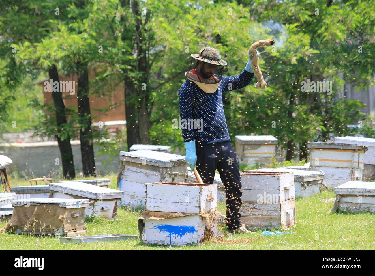 Bee keeping india hi-res stock photography and images - Alamy