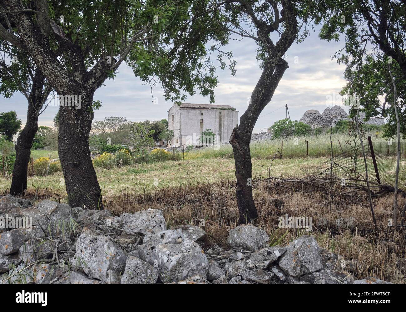 Salento area hi-res stock photography and images - Alamy