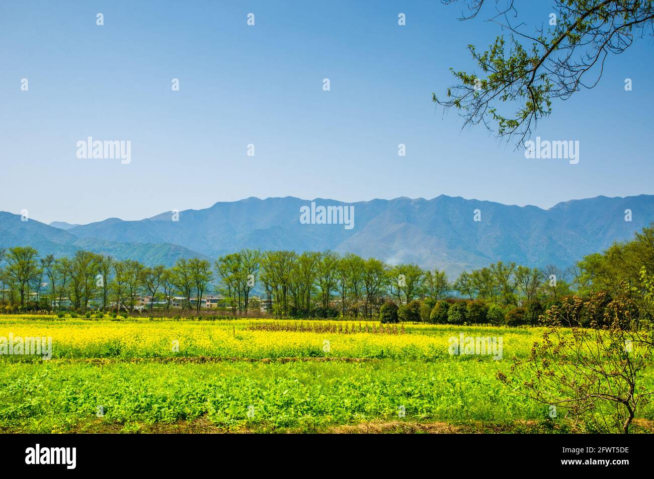 Spring scenery, Guilin, China Stock Photo - Alamy