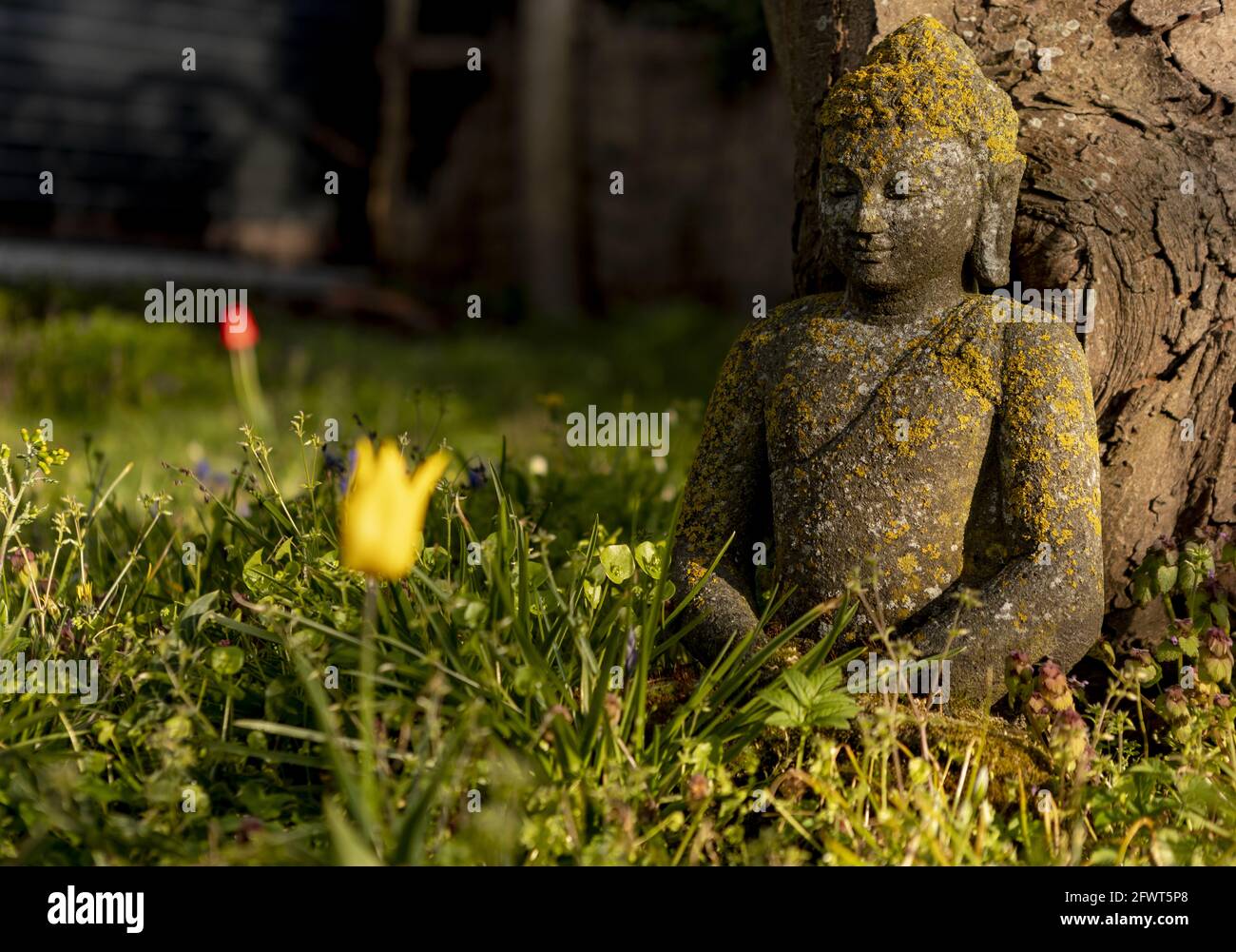 Spiritual and peaceful mindful concept Stock Photo - Alamy